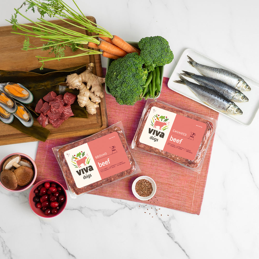 Raw Dog Food Delivered | Viva for Dogs