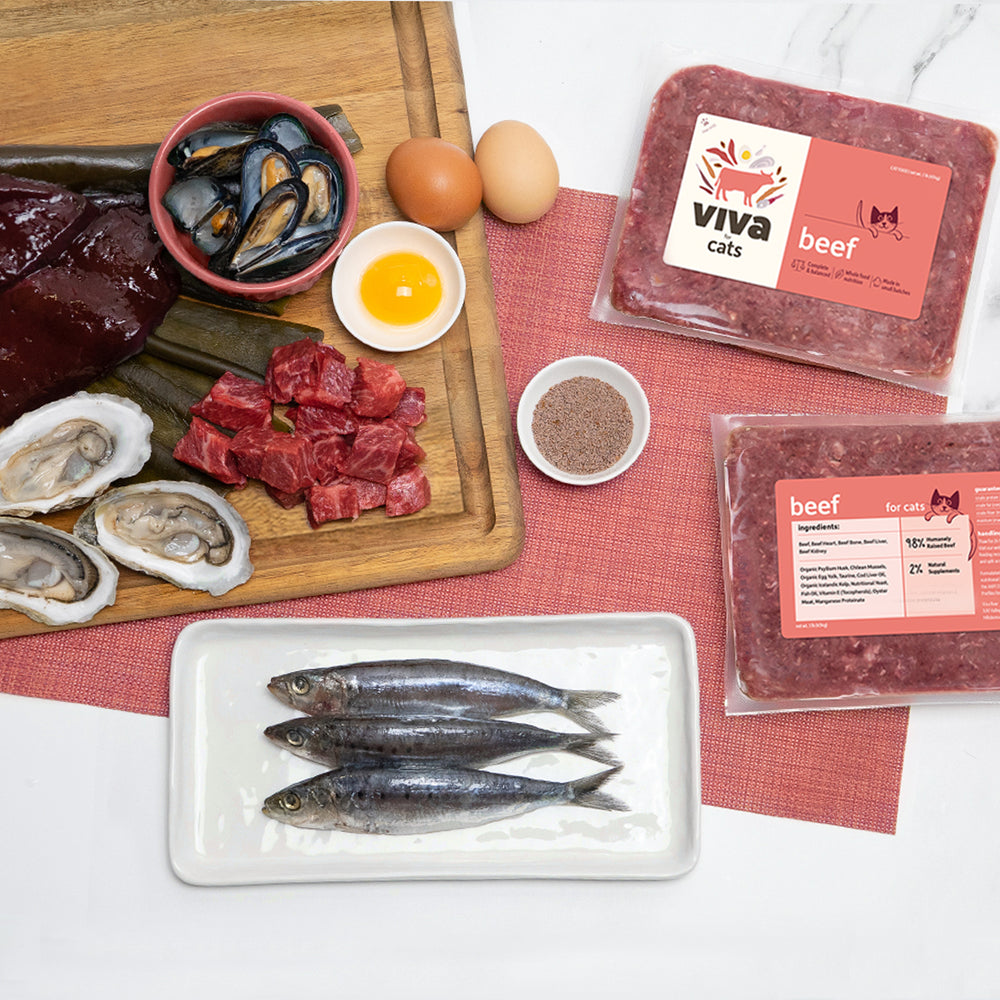 Beef | Viva Raw Cat Food