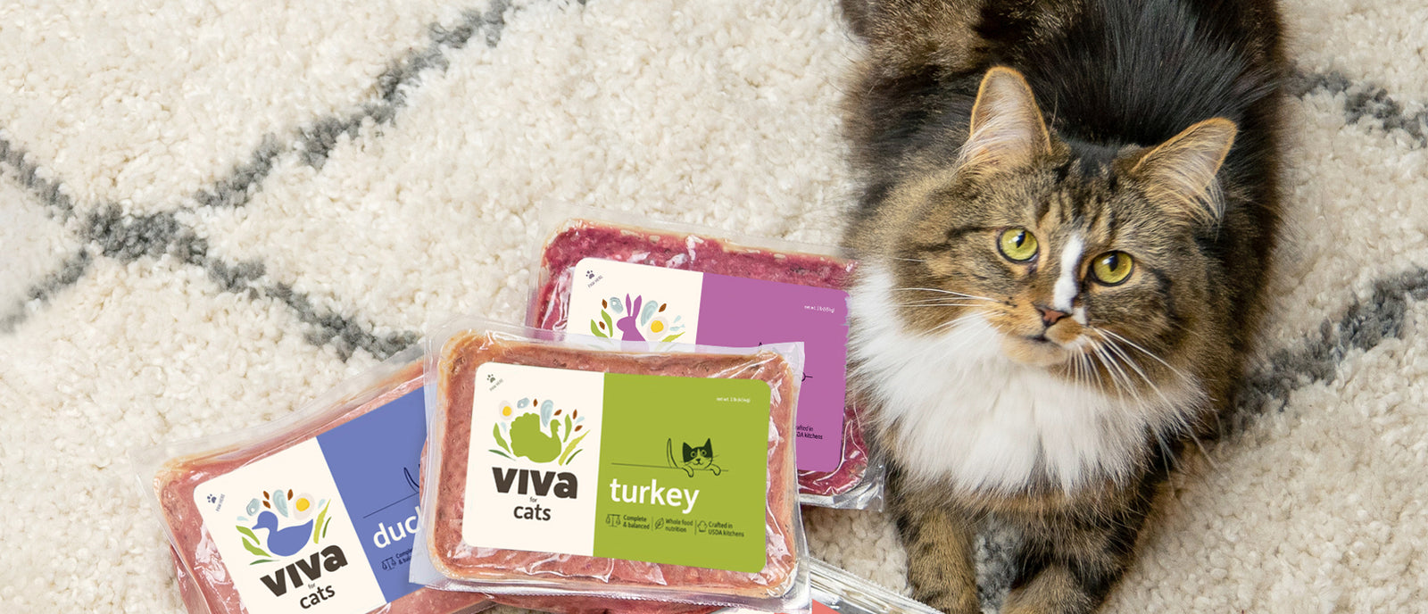 Raw Cat Food Delivered | Viva for Cats