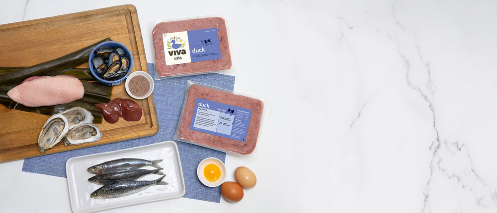 Duck | Viva Raw Cat Food