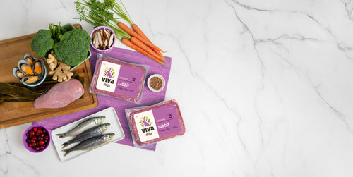 Raw Cat Food Delivered | Viva for Cats