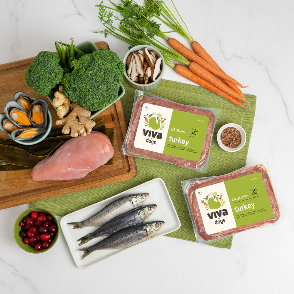 Raw Dog Food Delivered | Viva for Dogs