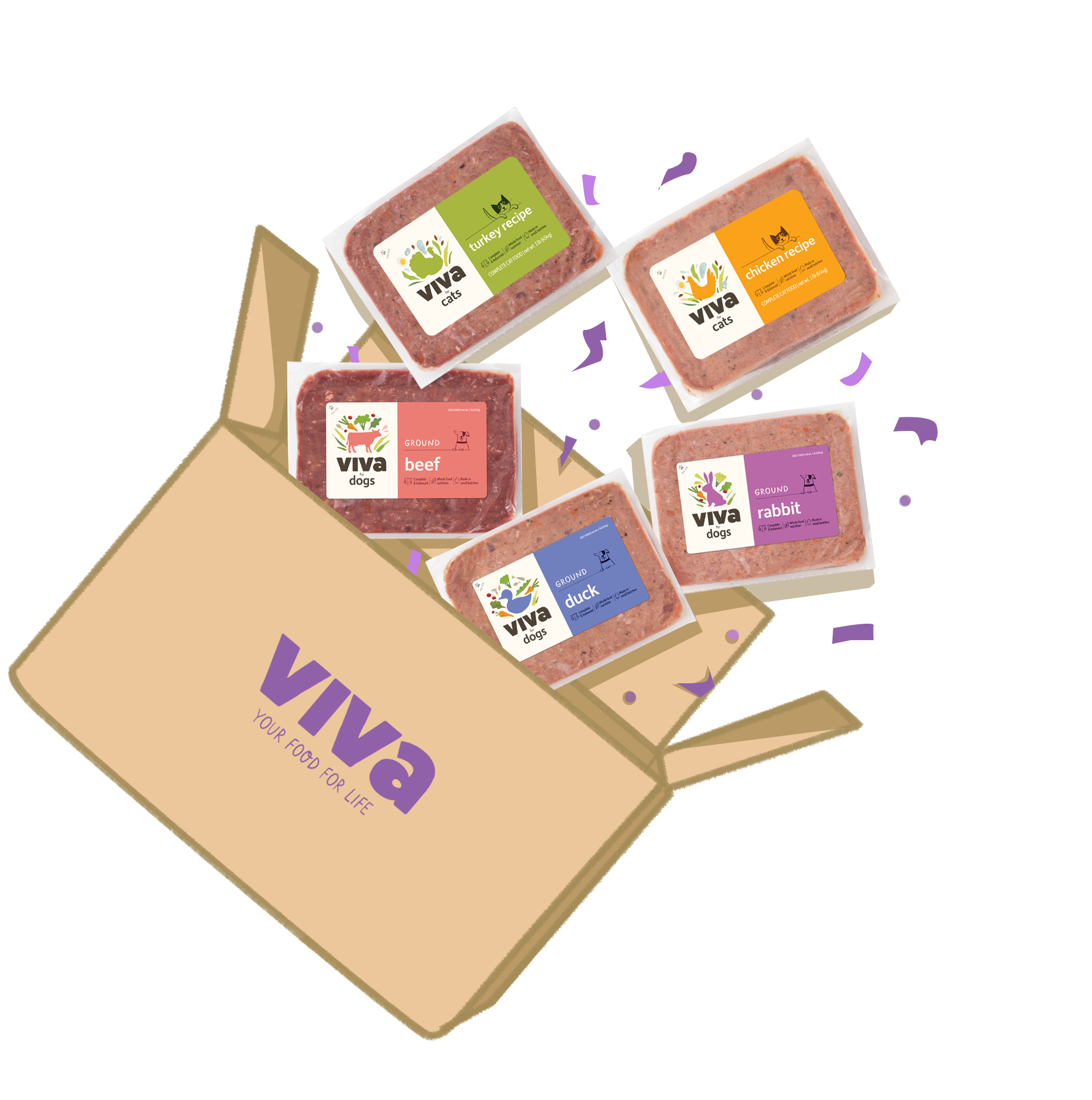 Viva Box