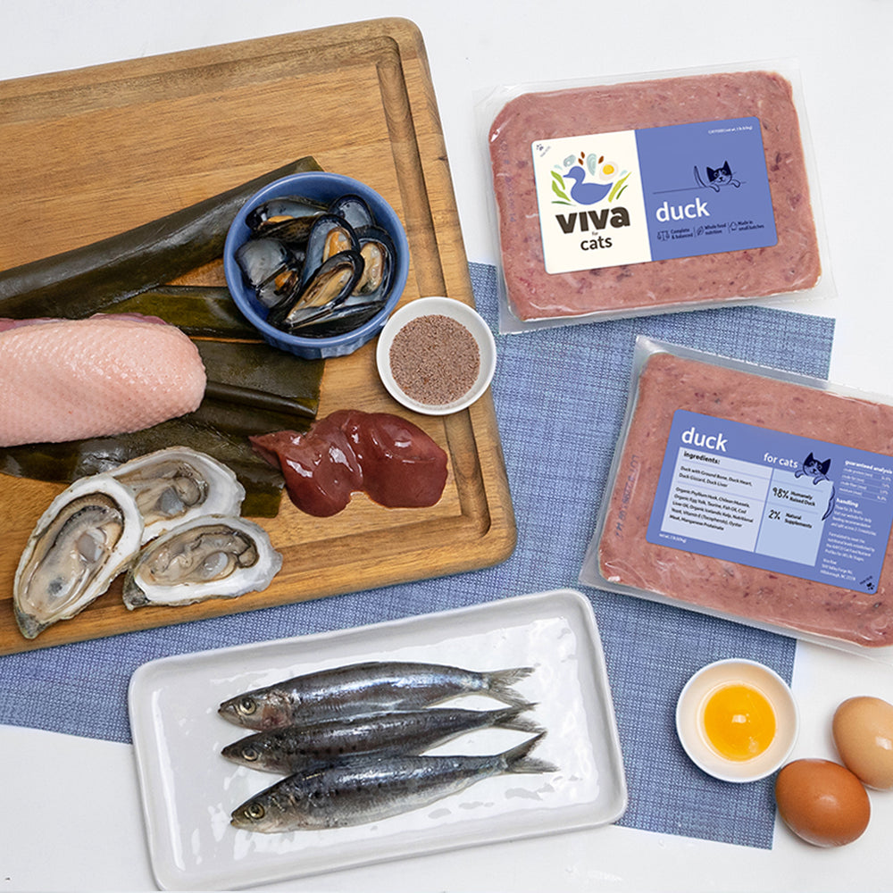 Duck | Viva Raw Cat Food